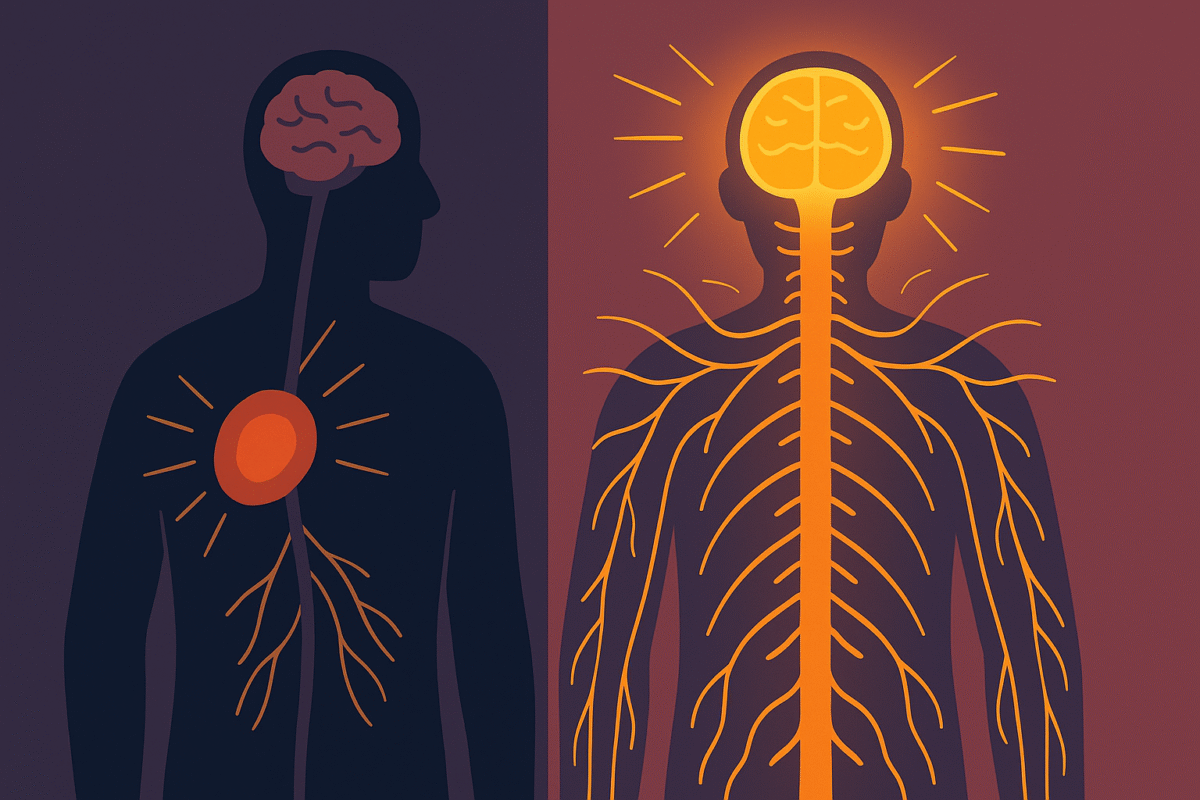 Why Your Nervous System Amplifies Pain: Central Sensitization Explained